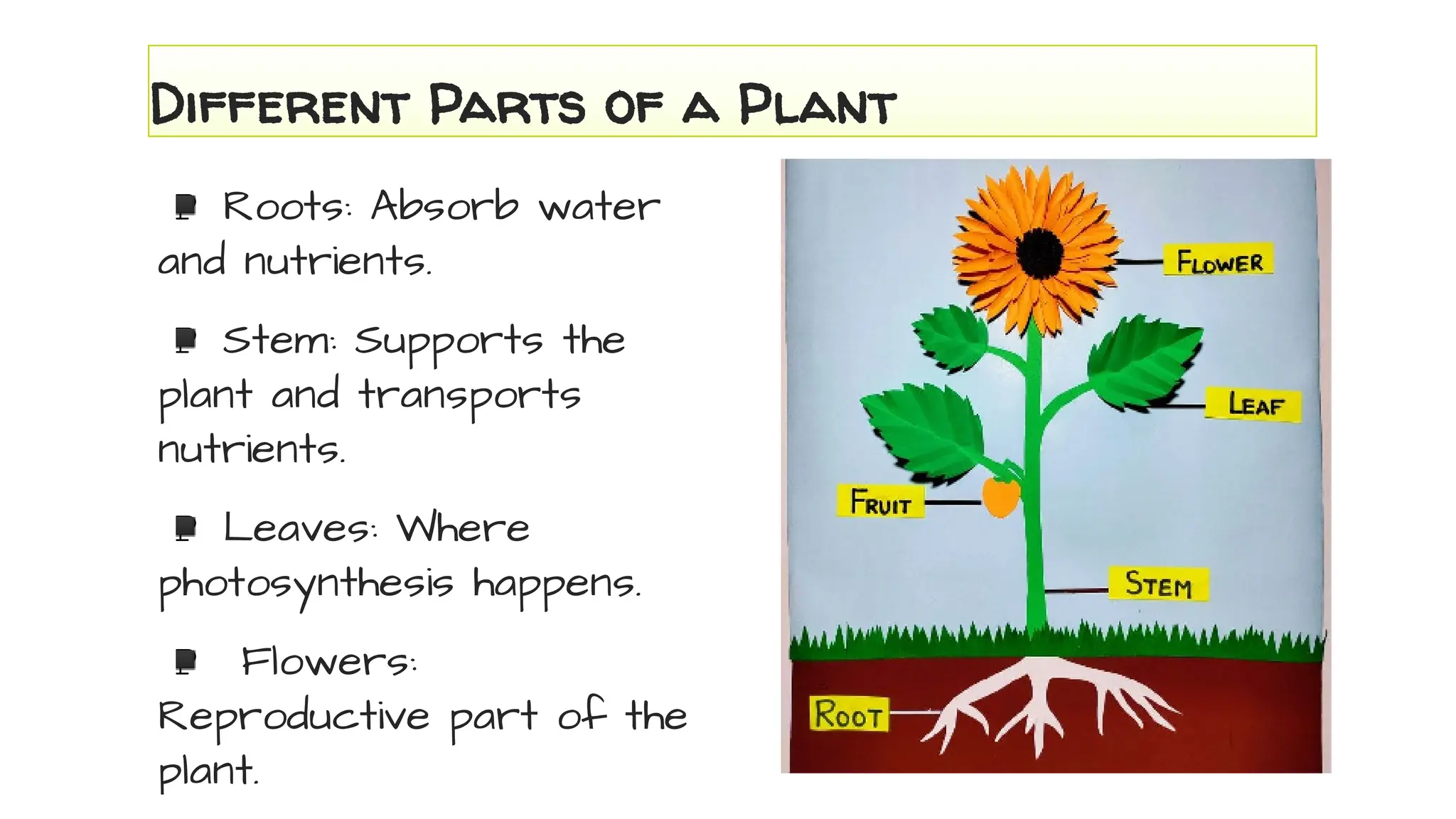 Grade 5 lesson 1.pdf unit 1 : plants and their habitats | PPT