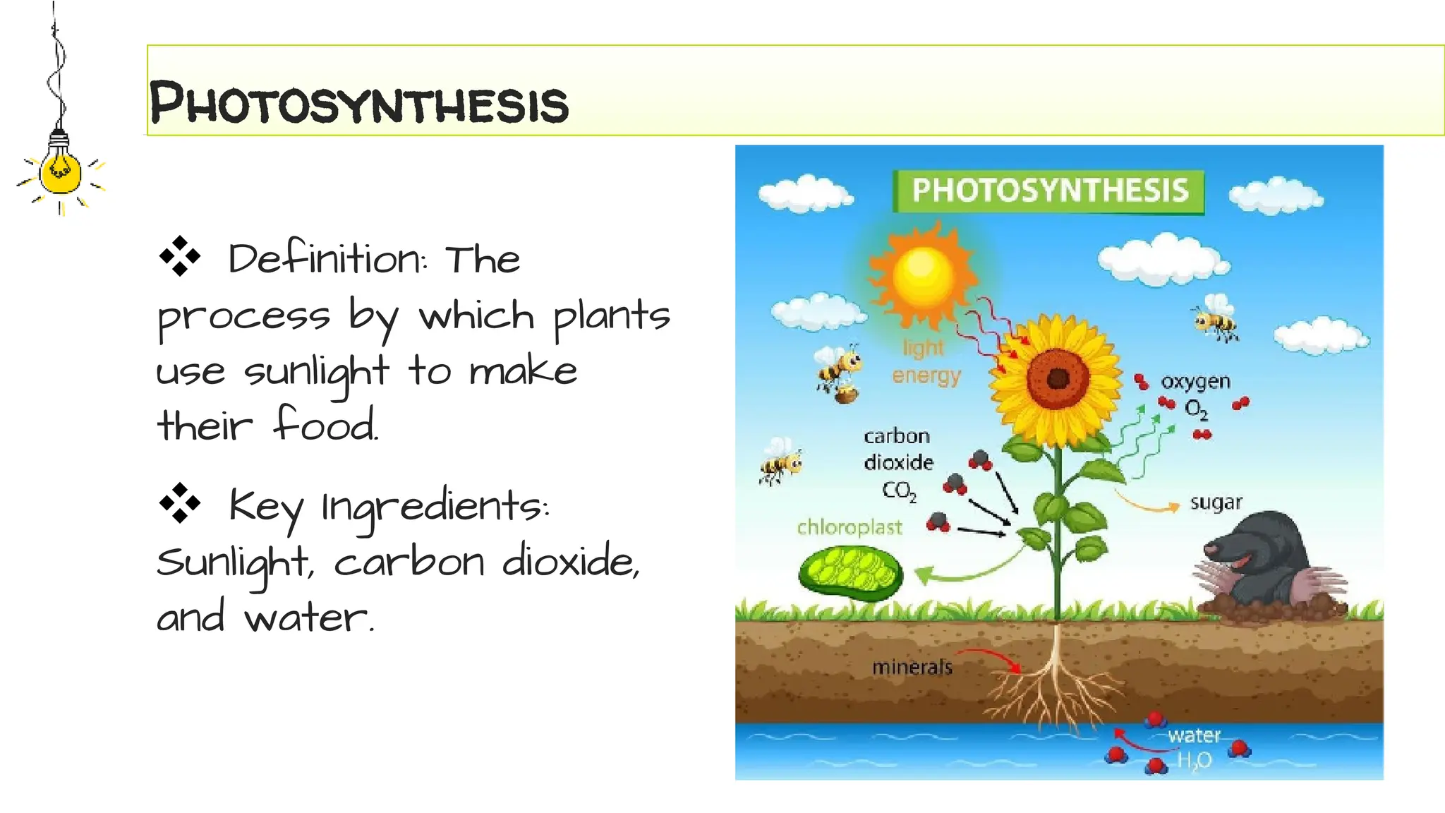 Grade 5 lesson 1.pdf unit 1 : plants and their habitats | PDF