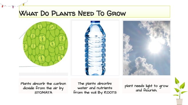 Grade 5 lesson 1.pdf unit 1 : plants and their habitats | PPT