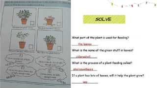 Grade 5 lesson 1.pdf unit 1 : plants and their habitats | PDF