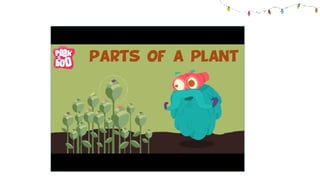 Grade 5 lesson 1.pdf unit 1 : plants and their habitats | PDF