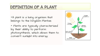 Grade 5 lesson 1.pdf unit 1 : plants and their habitats | PDF