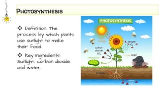 Grade 5 lesson 1.pdf unit 1 : plants and their habitats | PDF
