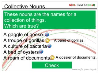 Grade 5 PPT_English_Q2_W8_Collective Nouns.ppt
