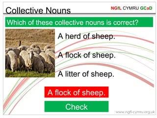 Grade 5 PPT_English_Q2_W8_Collective Nouns.ppt