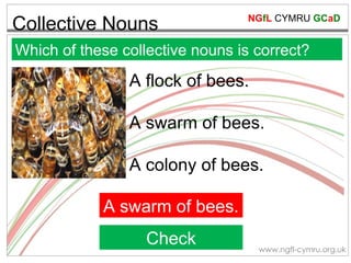 Grade 5 PPT_English_Q2_W8_Collective Nouns.ppt