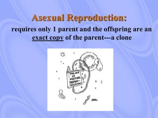 Grade 5 PPT_Science_Q2_W6_Methods of reproduction.ppt