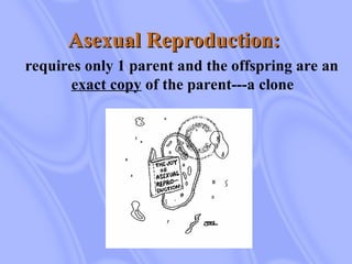 Grade 5 PPT_Science_Q2_W6_Methods of reproduction.ppt