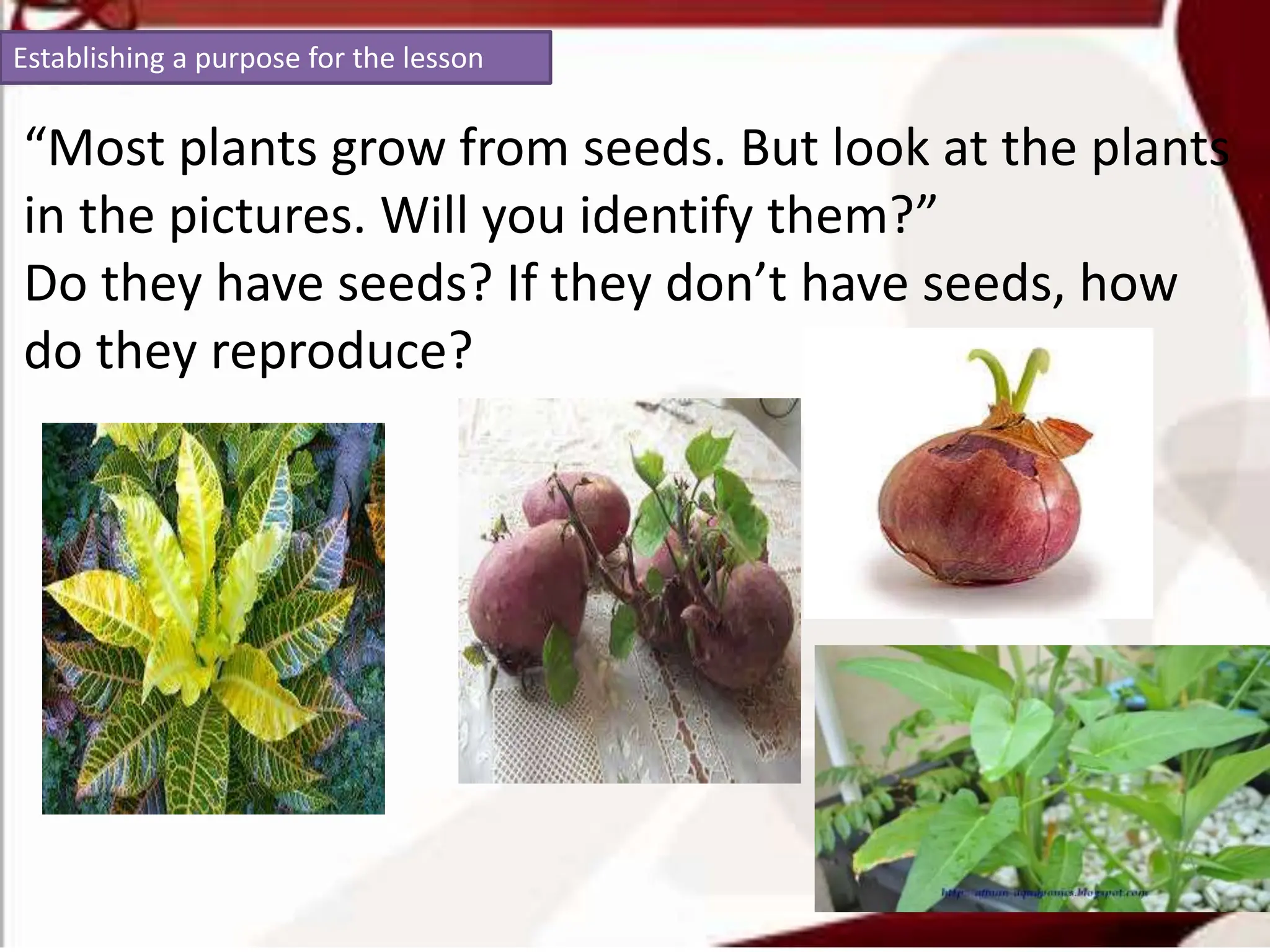 Grade 5 PPT_Science_Q2_W7_Day 1-5.pptx