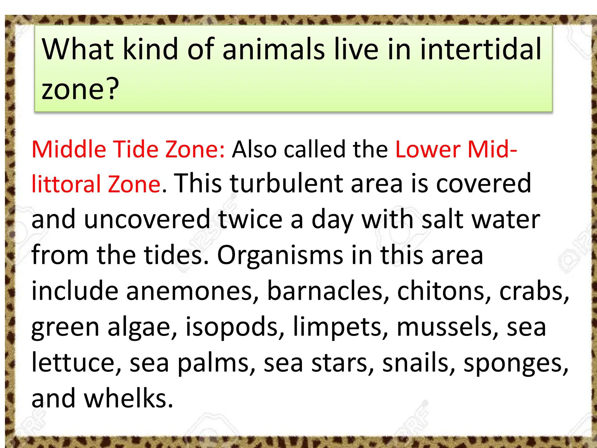 Grade 5 PPT_Science_Q2_W9_Day 1-5.pptx