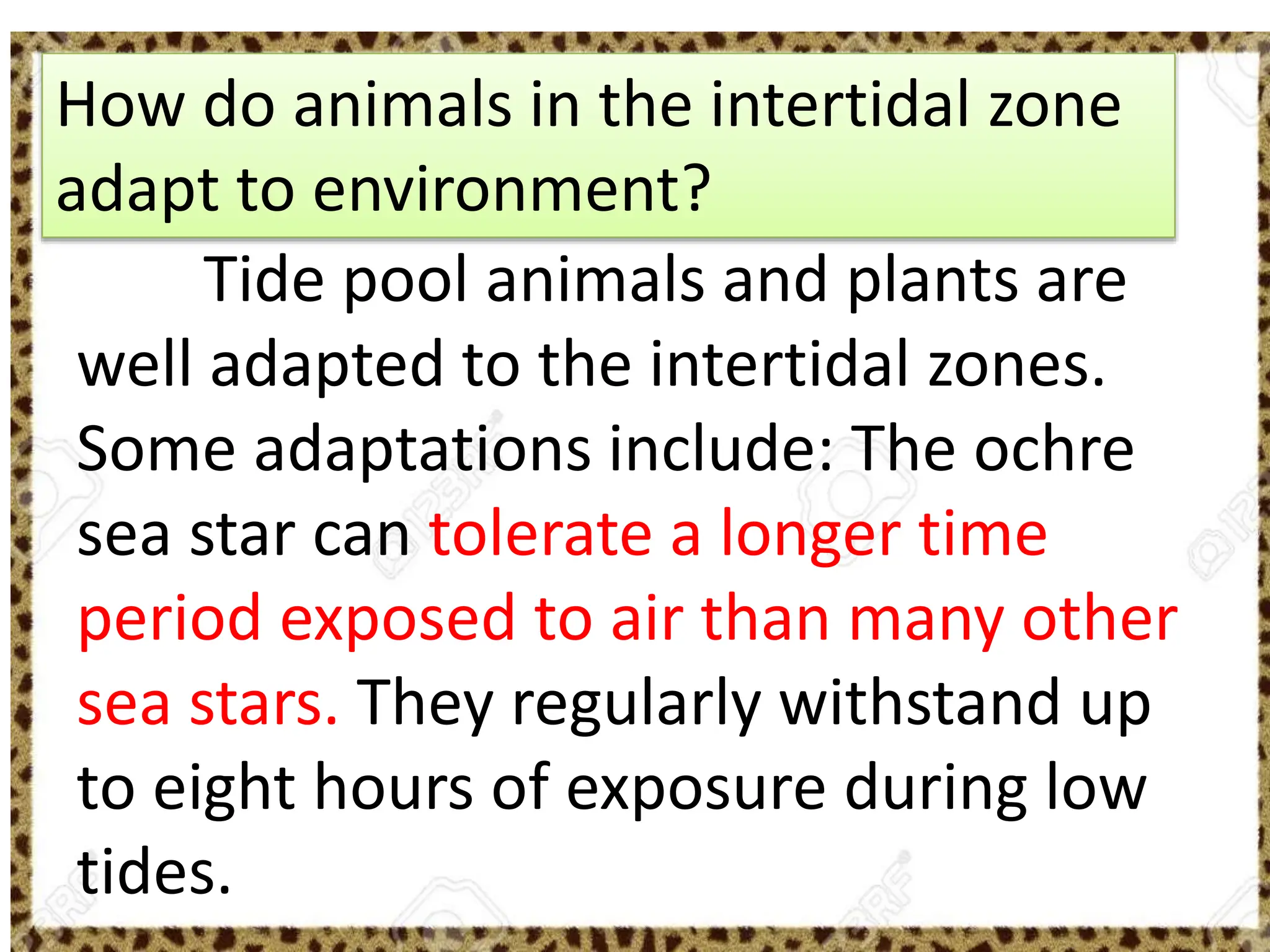 Grade 5 PPT_Science_Q2_W9_Day 1-5.pptx