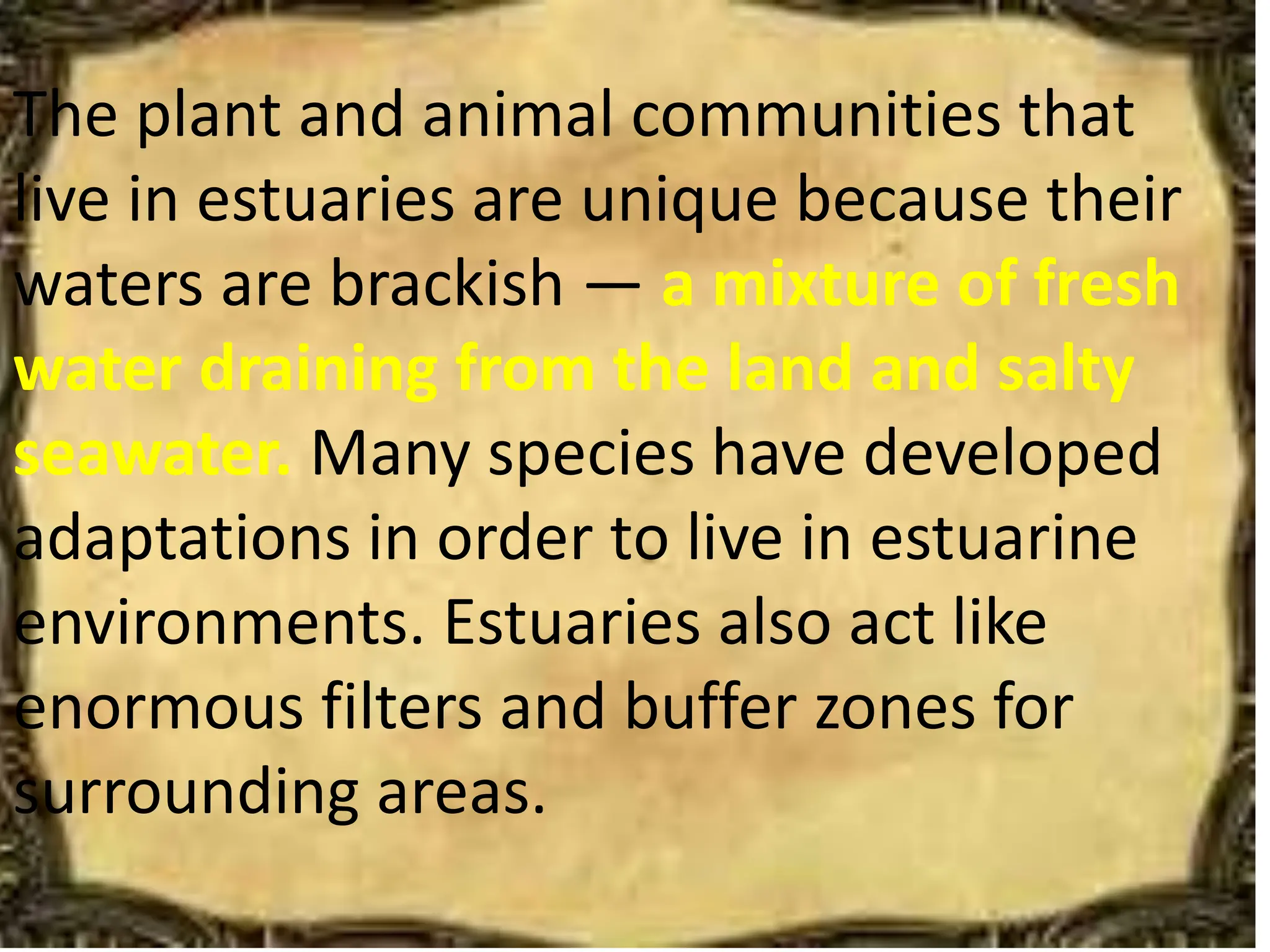 Grade 5 PPT_Science_Q2_W9_Day 1-5.pptx
