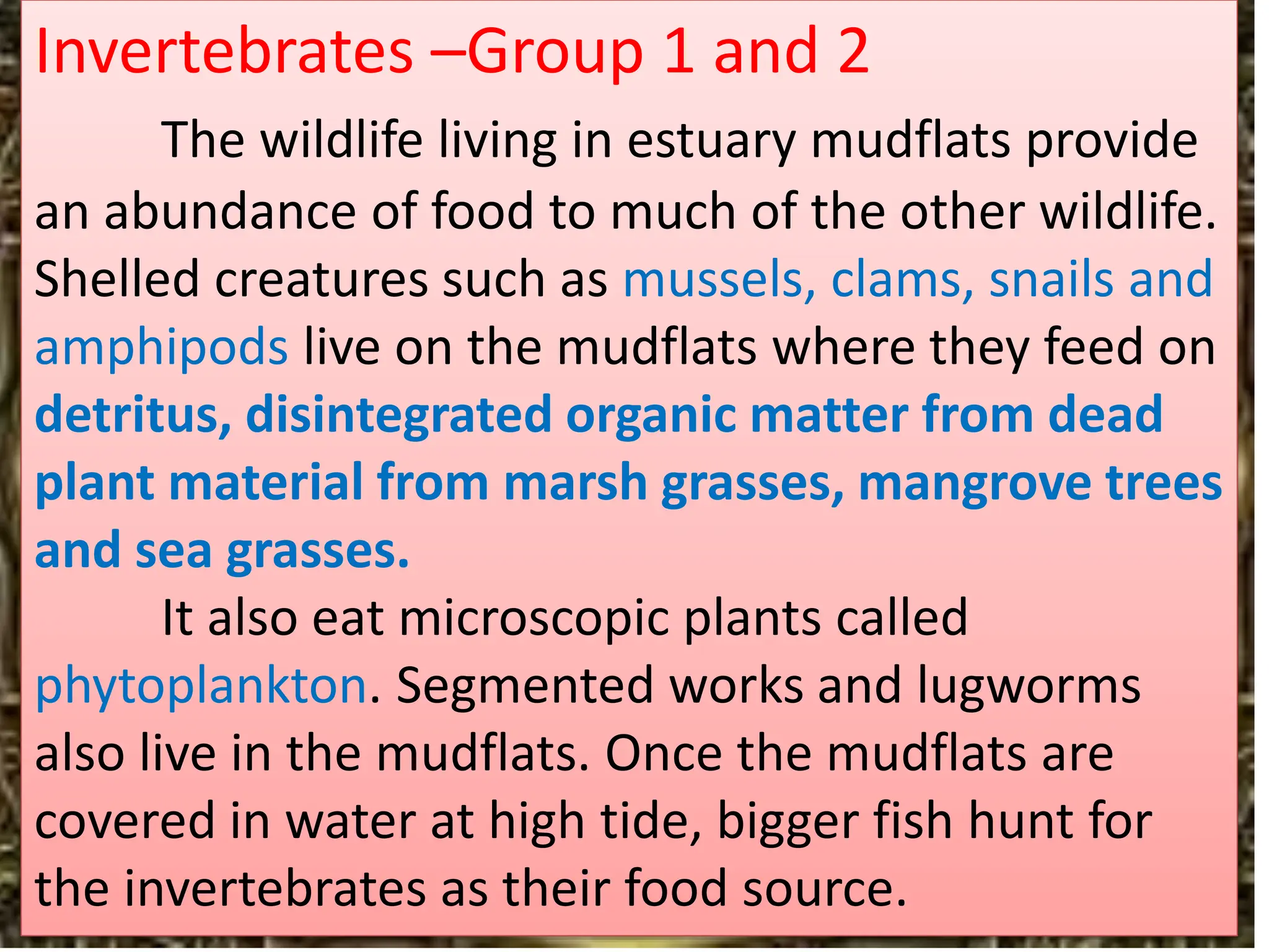 Grade 5 PPT_Science_Q2_W9_Day 1-5.pptx