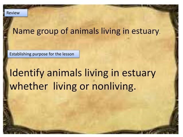 Grade 5 PPT_Science_Q2_W9_Day 1-5.pptx | Zoos & Aquariums | Attractions