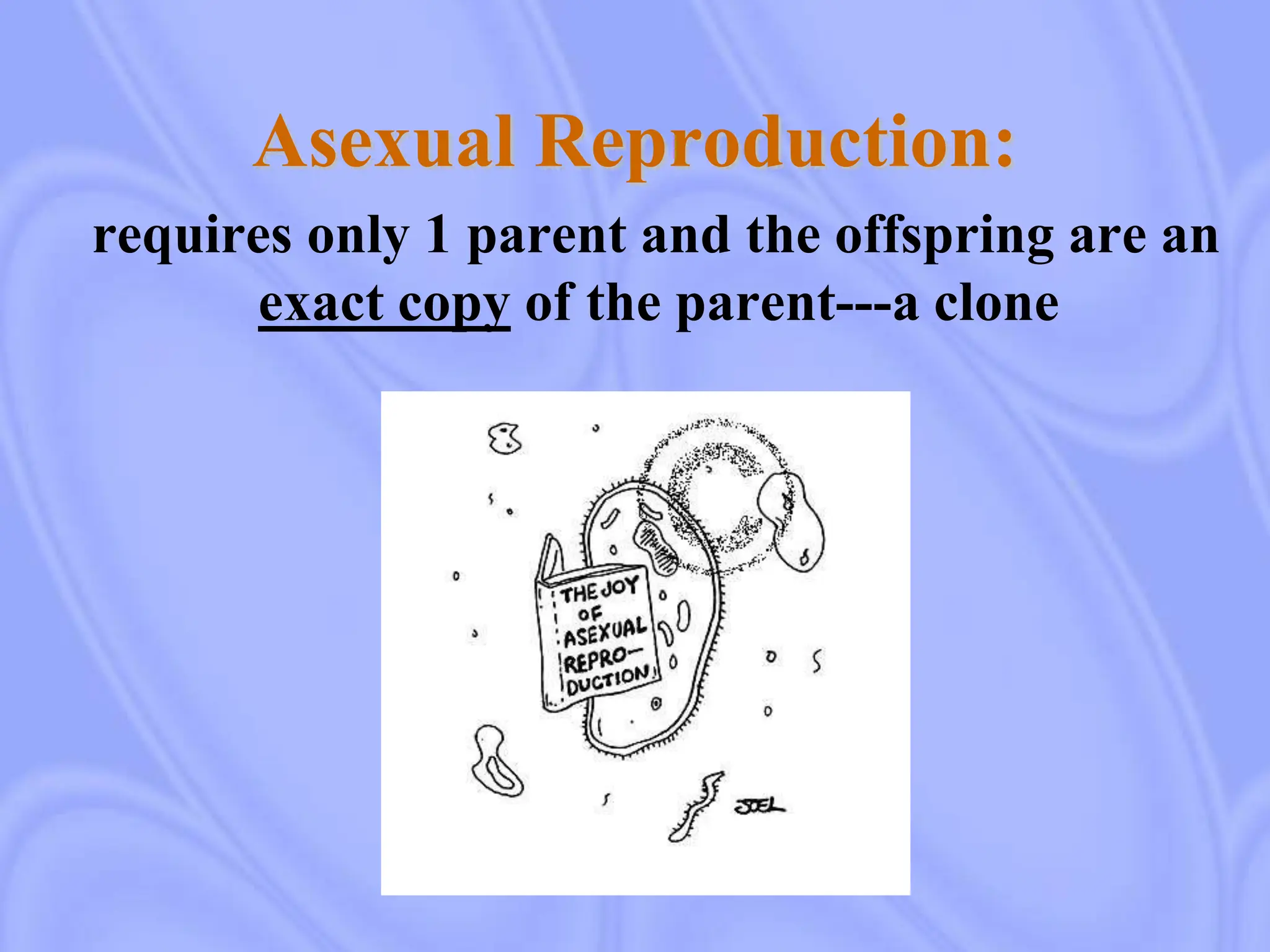 grade 5 science.pppppppppppppppppppppppp | PPT