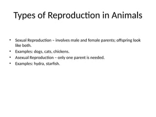 Grade5_Science_Reproduction_LifeCycle_Designed_Placeholders.pptx