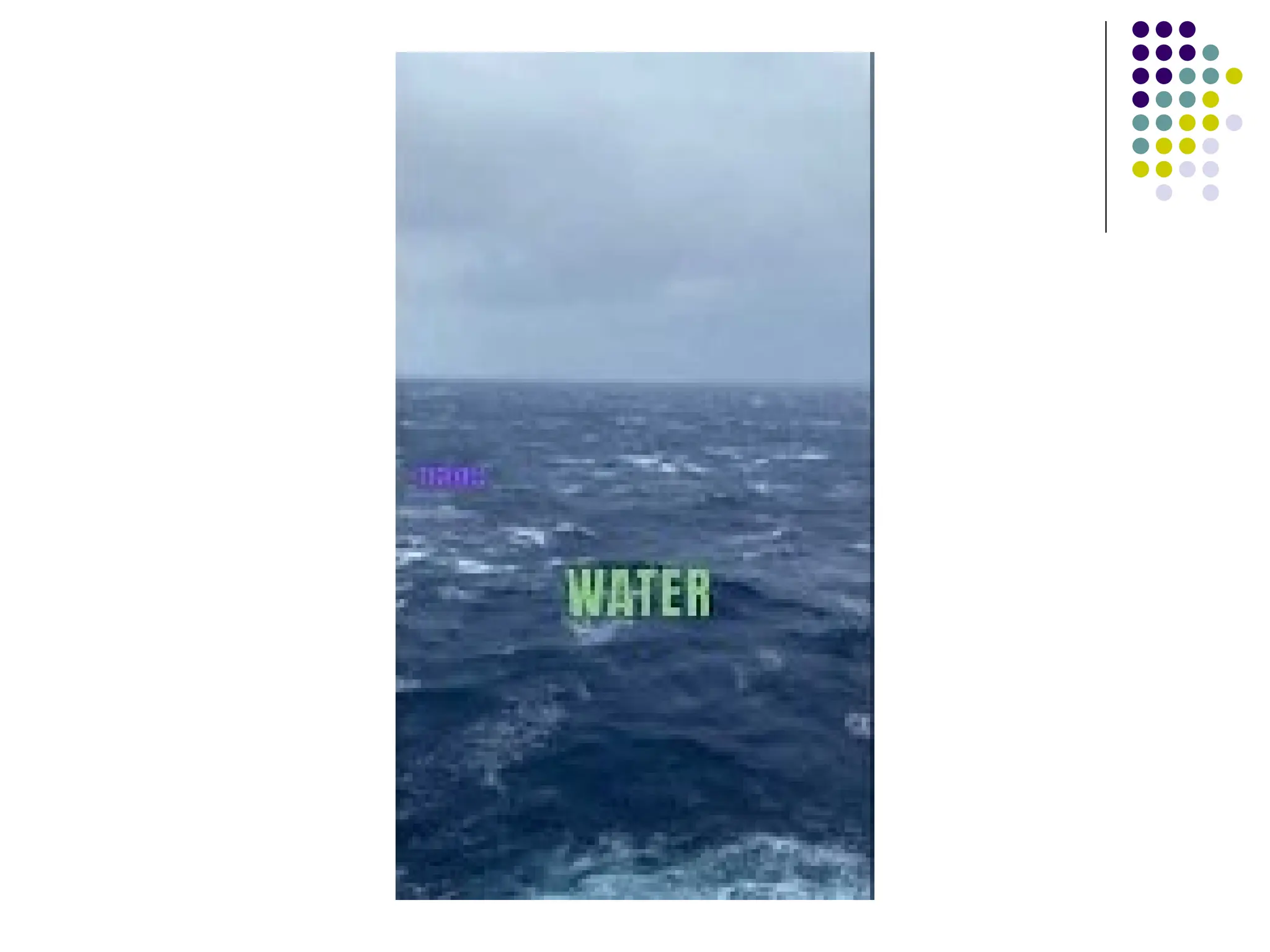 Fascinating Oceans - English lesson for elementary students | PPT