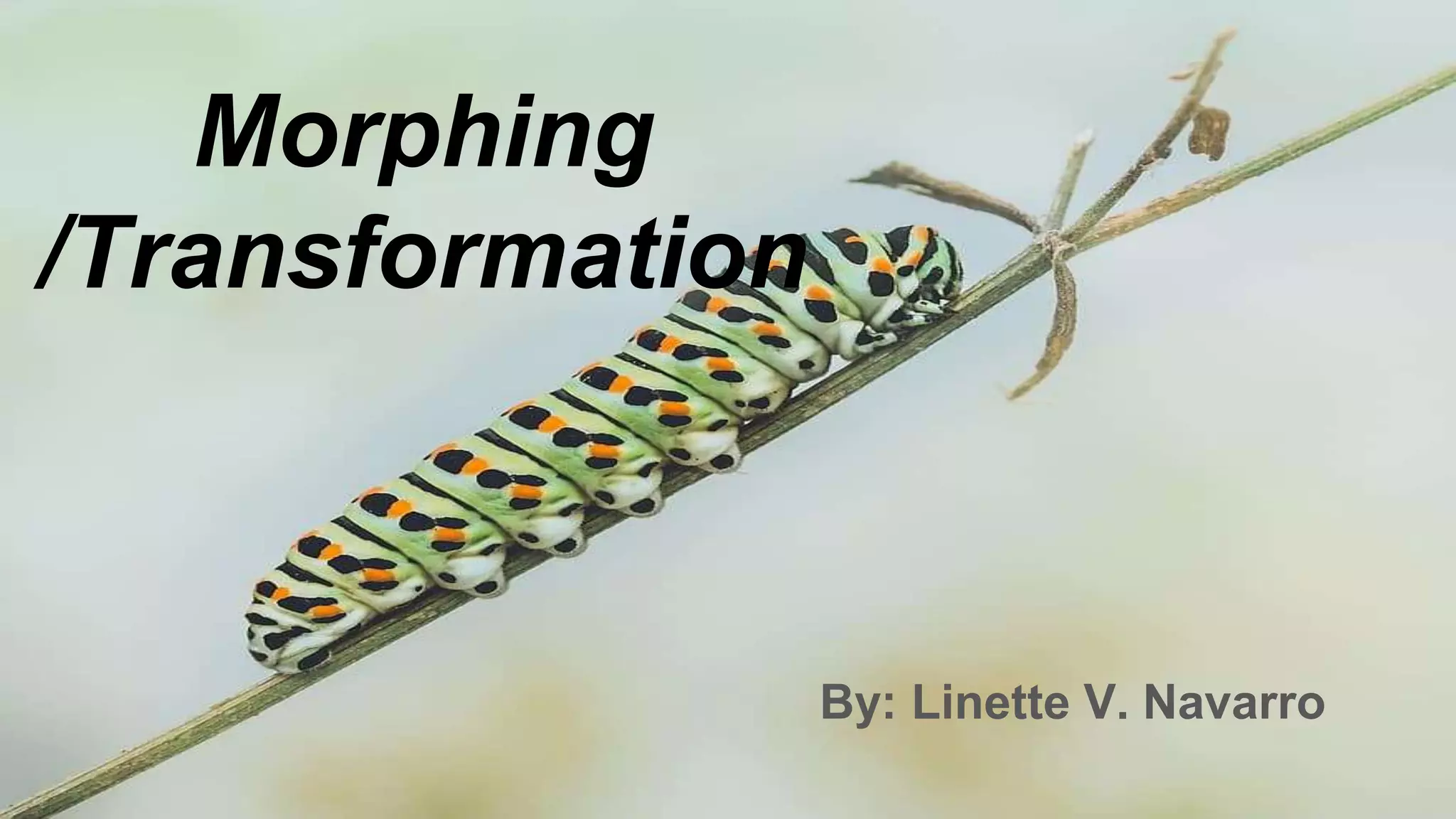 Morphing/Transformation | PPT