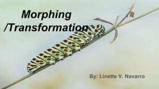 Morphing/Transformation | PPT