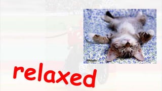 Grade 5 unit 7 lesson 9 presentation | PPTX