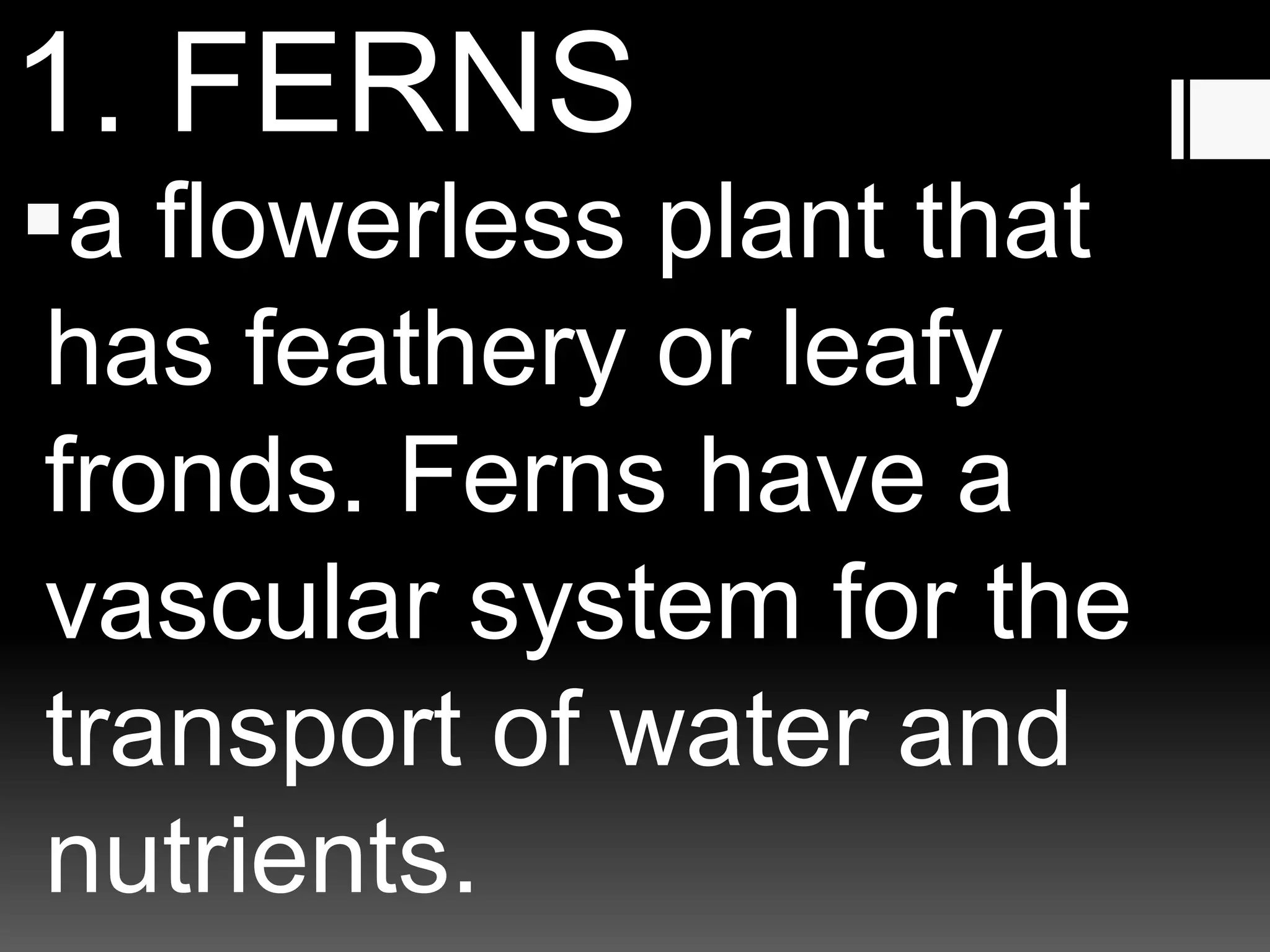 SPORE AND CONE BEARING PLANTS, VEGETATIVE PROPAGATION | PPTX | Gardening | Home & Garden