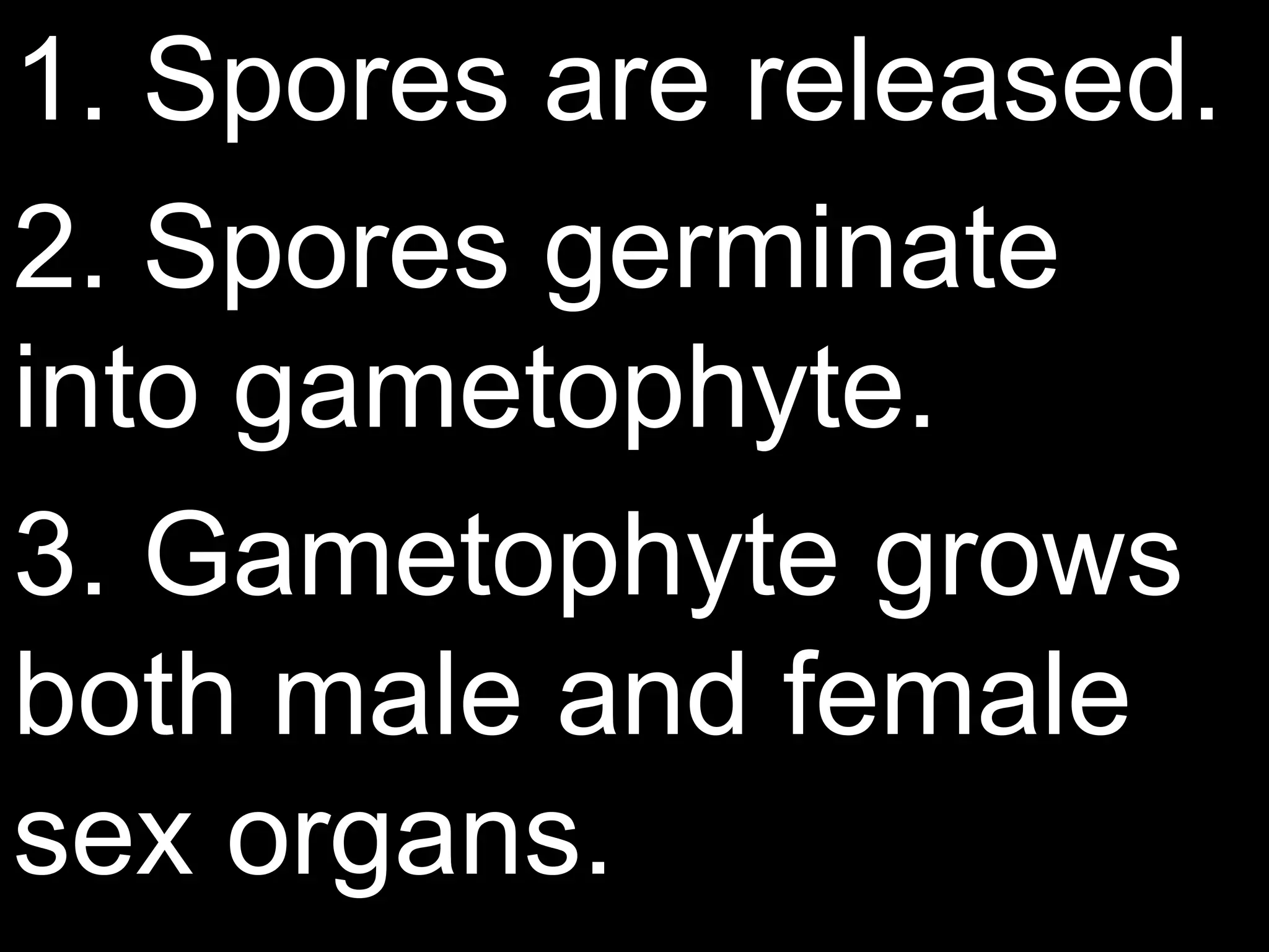 SPORE AND CONE BEARING PLANTS, VEGETATIVE PROPAGATION | PPTX | Gardening | Home & Garden