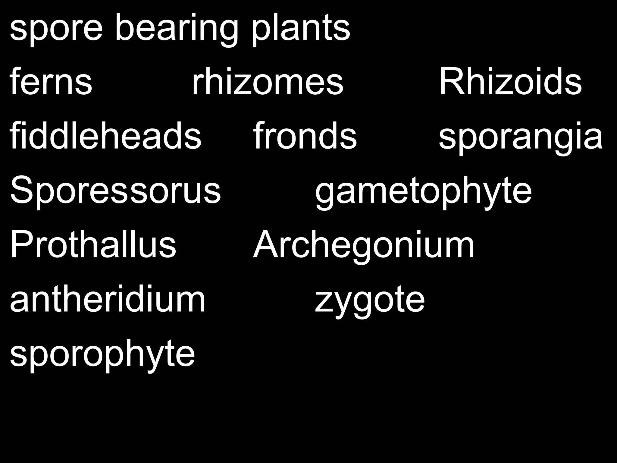 SPORE AND CONE BEARING PLANTS, VEGETATIVE PROPAGATION | PPTX | Gardening | Home & Garden