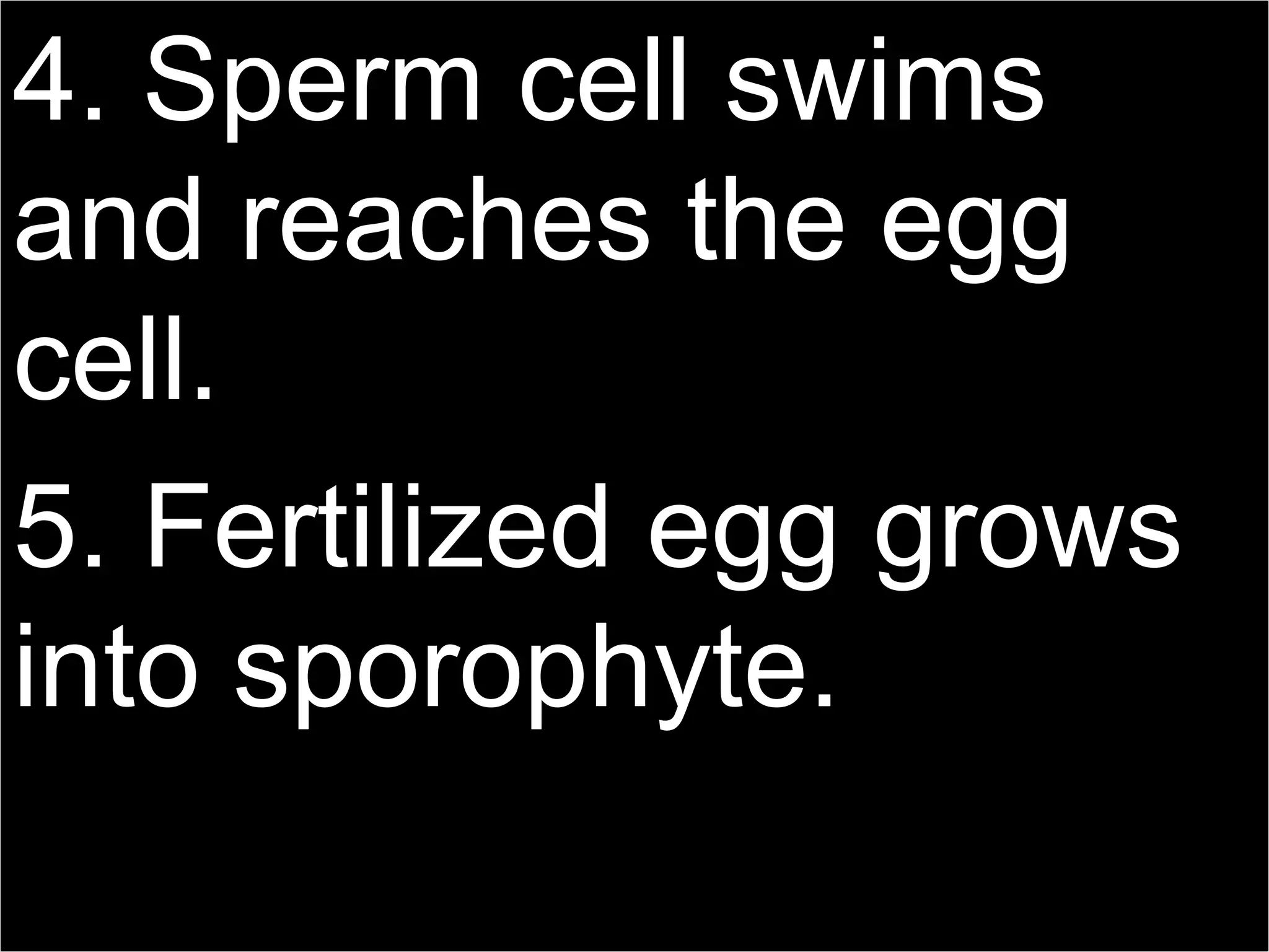 SPORE AND CONE BEARING PLANTS, VEGETATIVE PROPAGATION | PPTX