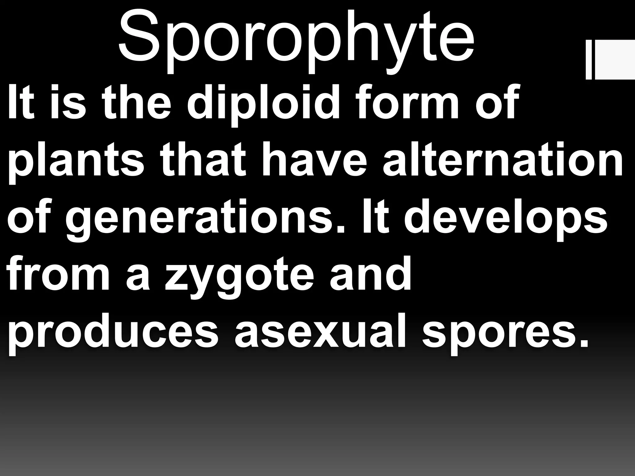 SPORE AND CONE BEARING PLANTS, VEGETATIVE PROPAGATION | PPTX