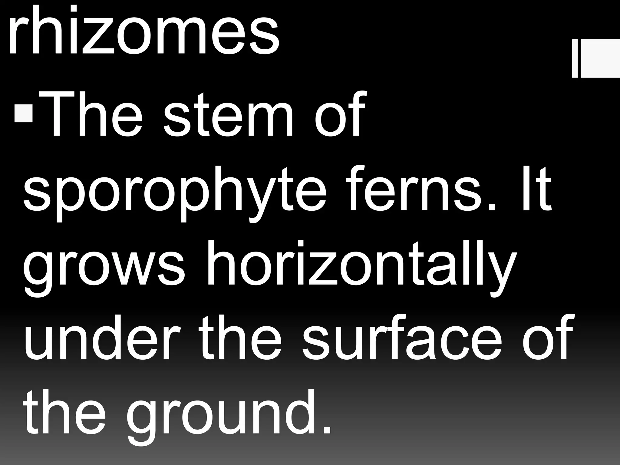 SPORE AND CONE BEARING PLANTS, VEGETATIVE PROPAGATION | PPTX