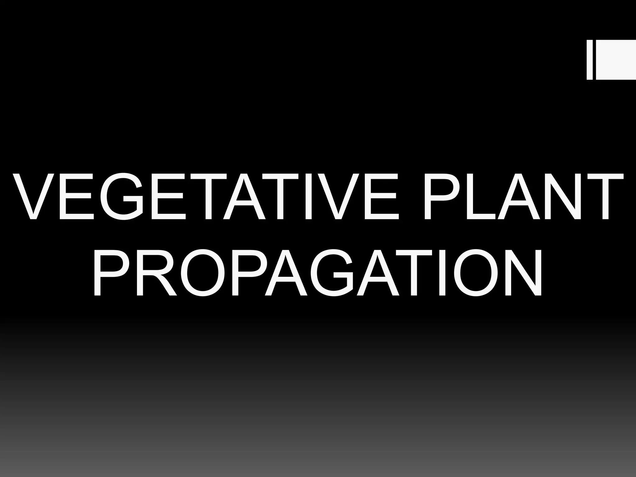 SPORE AND CONE BEARING PLANTS, VEGETATIVE PROPAGATION | PPTX