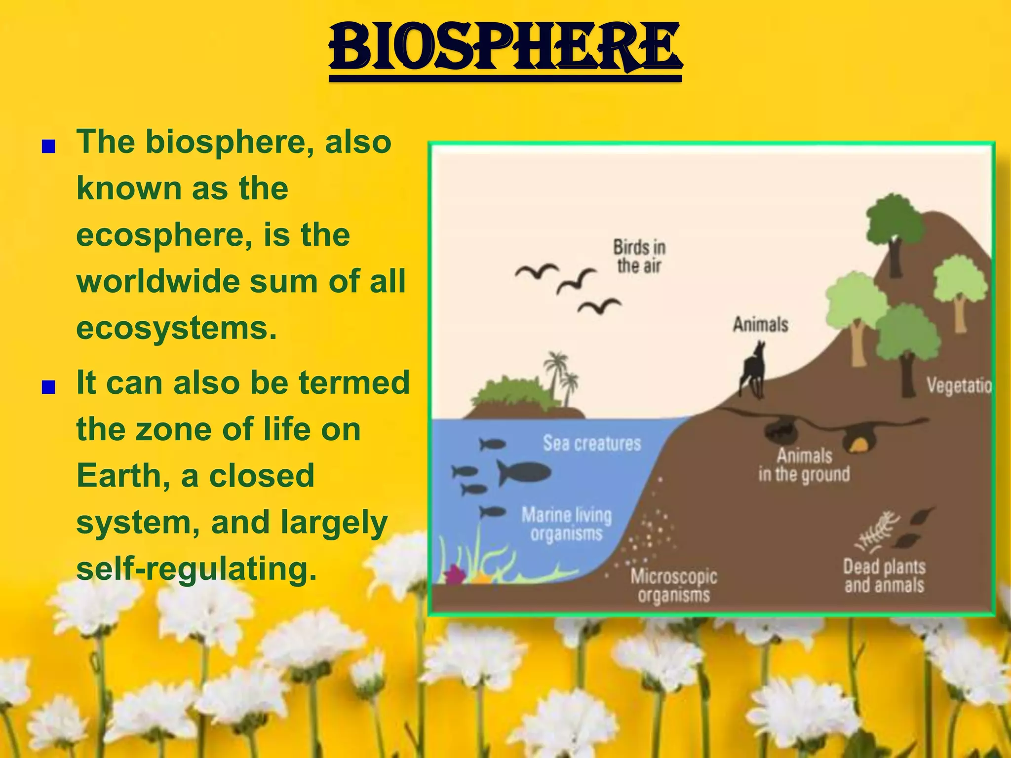 Realms of the Earth | PDF