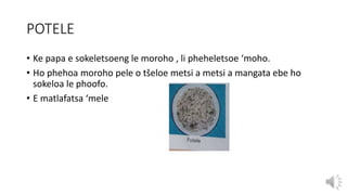 Grade 6 cmp3204 p a | PPTX