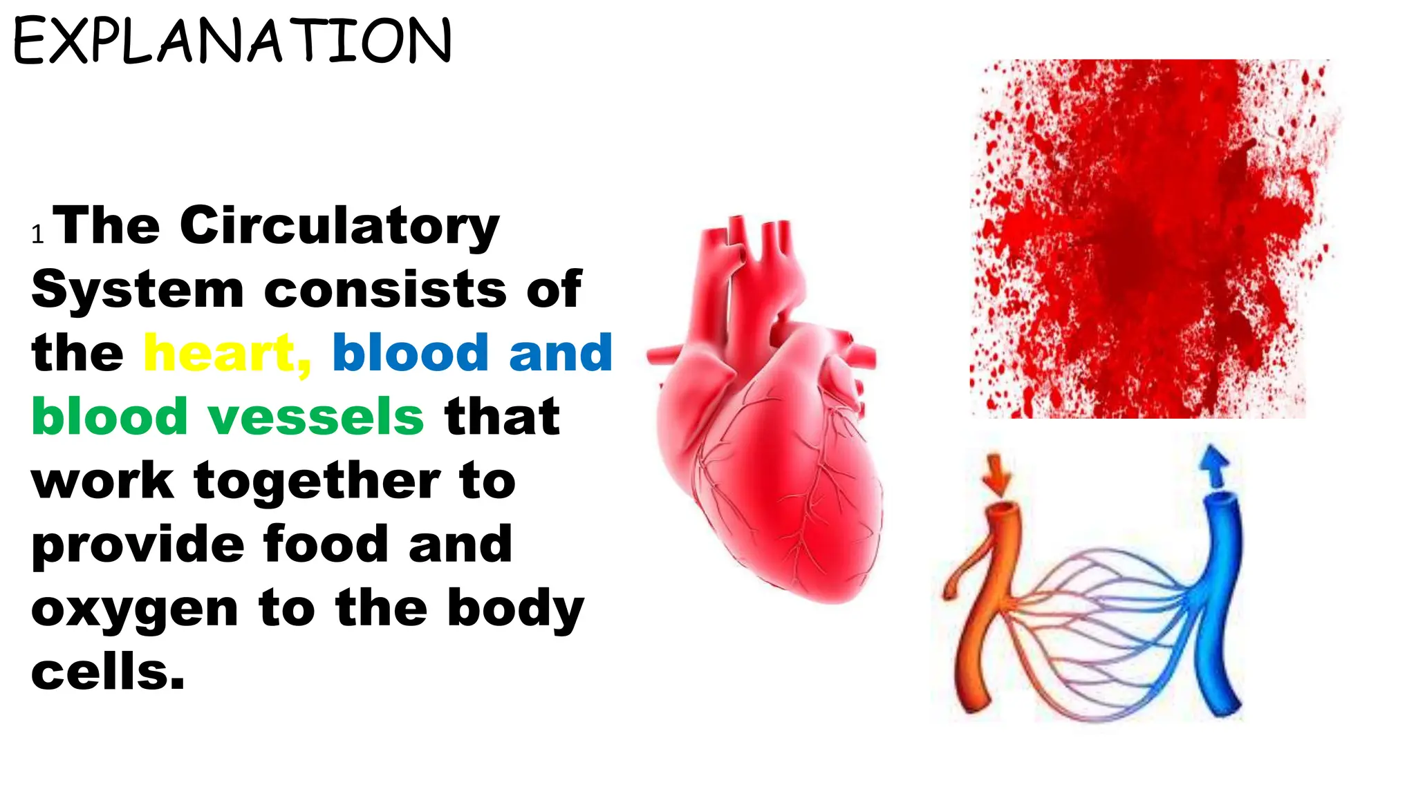 Grade 6 PPT_Science_Q2_W4_parts of circulatory system and its fuynction ...