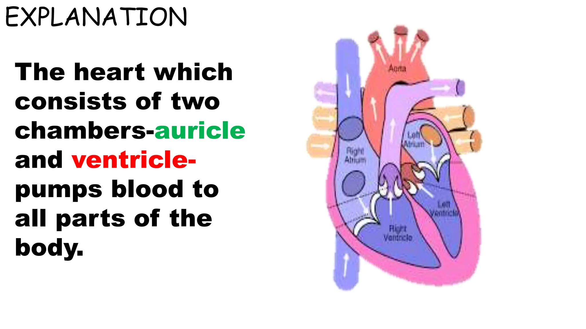Grade 6 PPT_Science_Q2_W4_parts of circulatory system and its fuynction ...