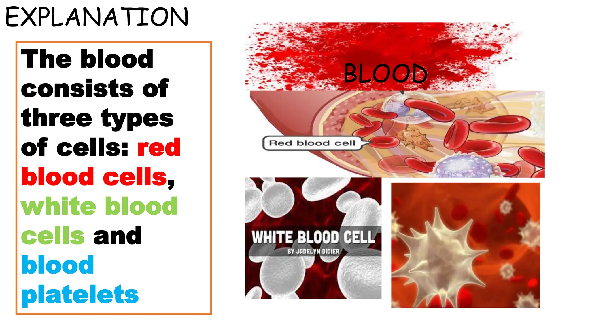 Grade 6 PPT_Science_Q2_W4_parts of circulatory system and its fuynction ...
