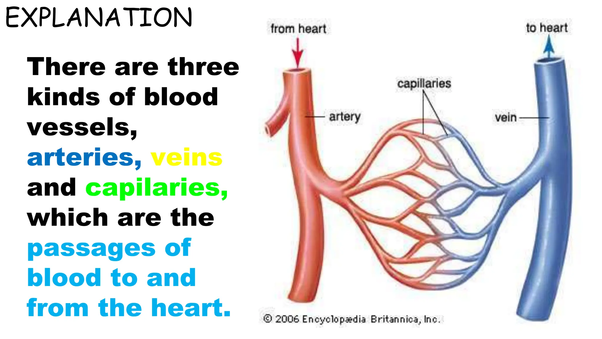 Grade 6 PPT_Science_Q2_W4_parts of circulatory system and its fuynction ...