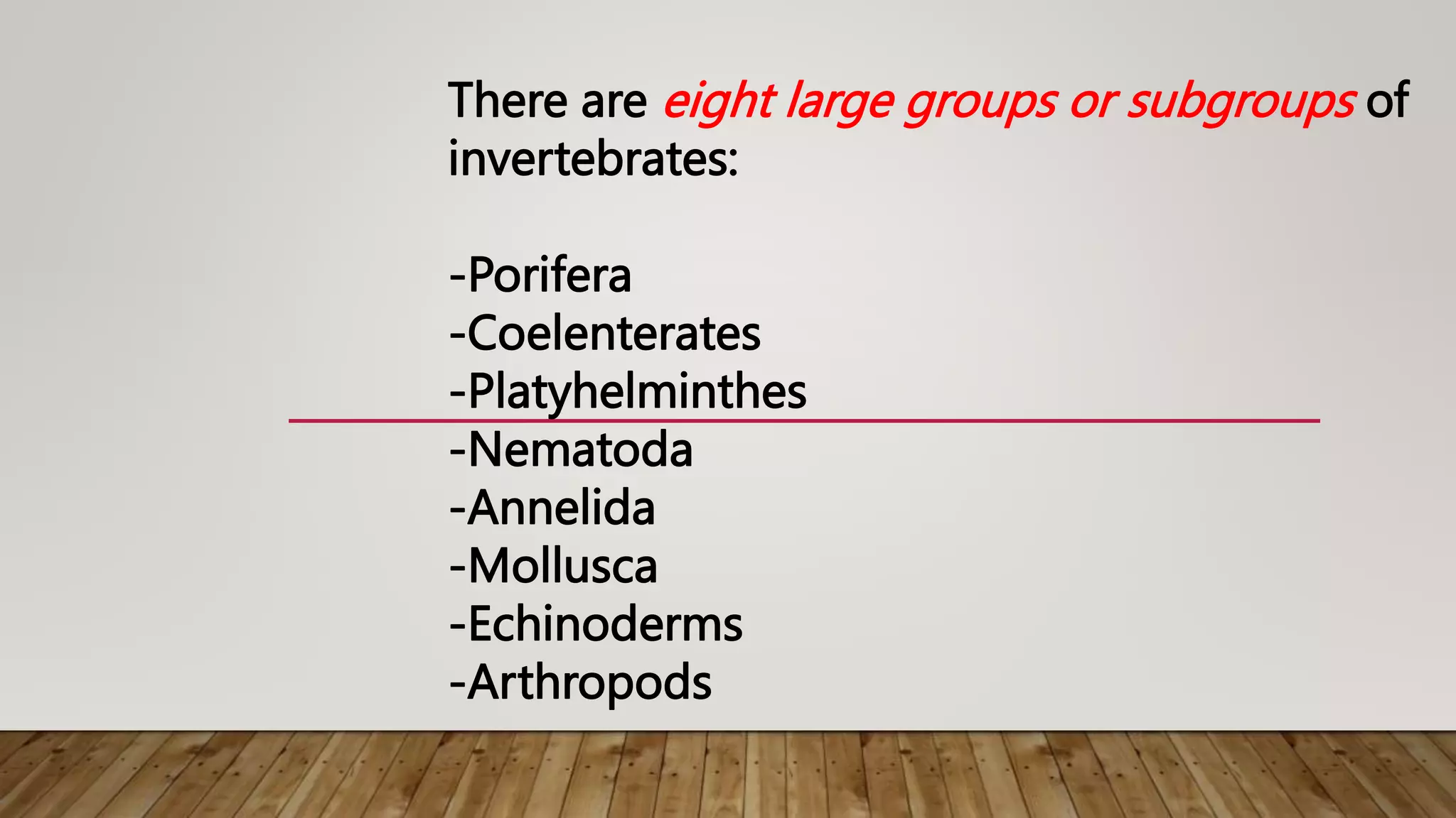 Grade 6_Science_Q2_W6_Invertebrates.pptx
