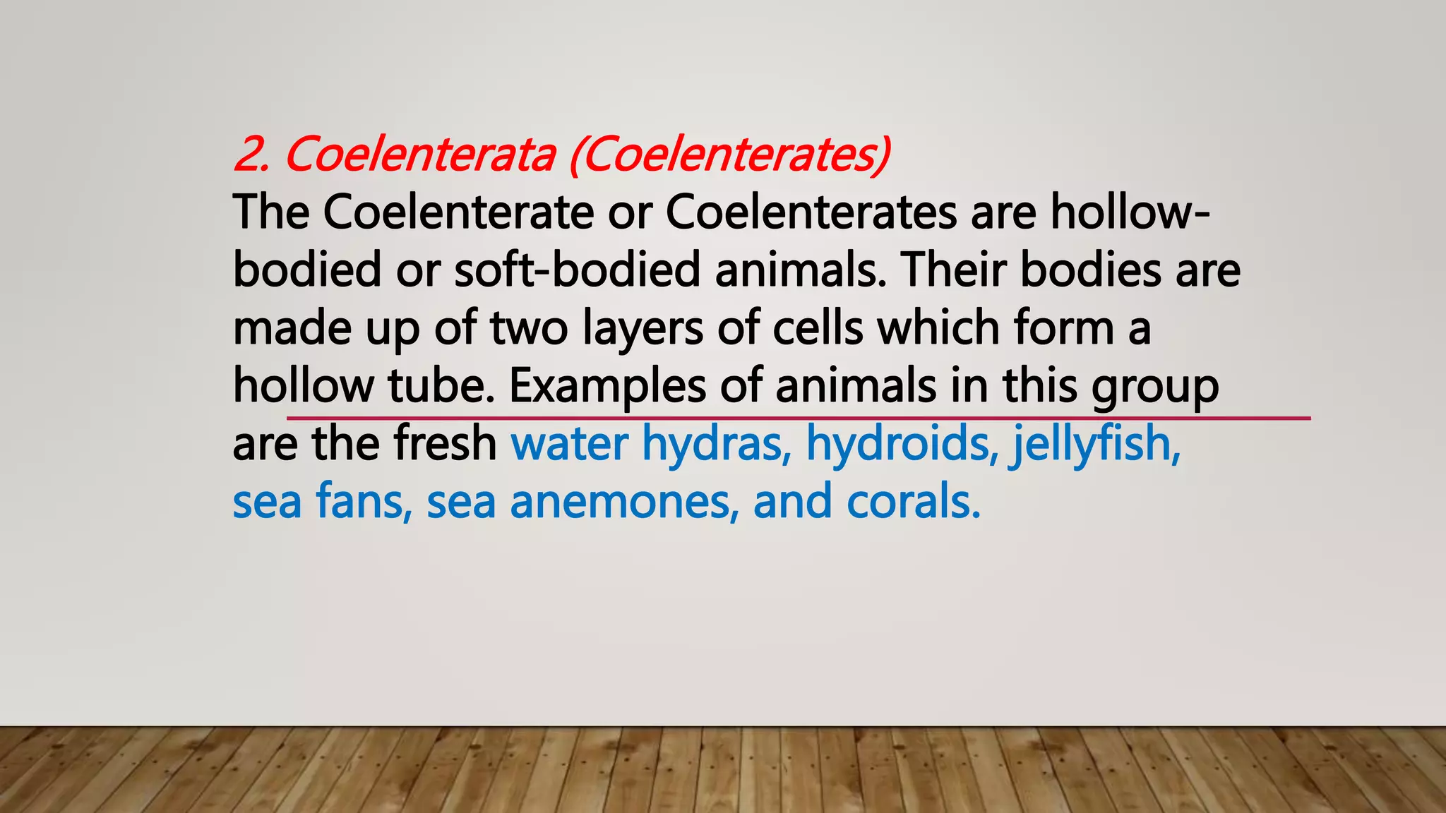 Grade 6_Science_Q2_W6_Invertebrates.pptx