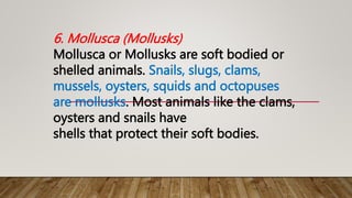 Grade 6_Science_Q2_W6_Invertebrates.pptx