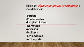 Grade 6_Science_Q2_W6_Invertebrates.pptx