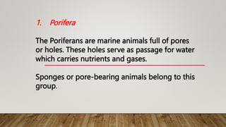 Grade 6_Science_Q2_W6_Invertebrates.pptx