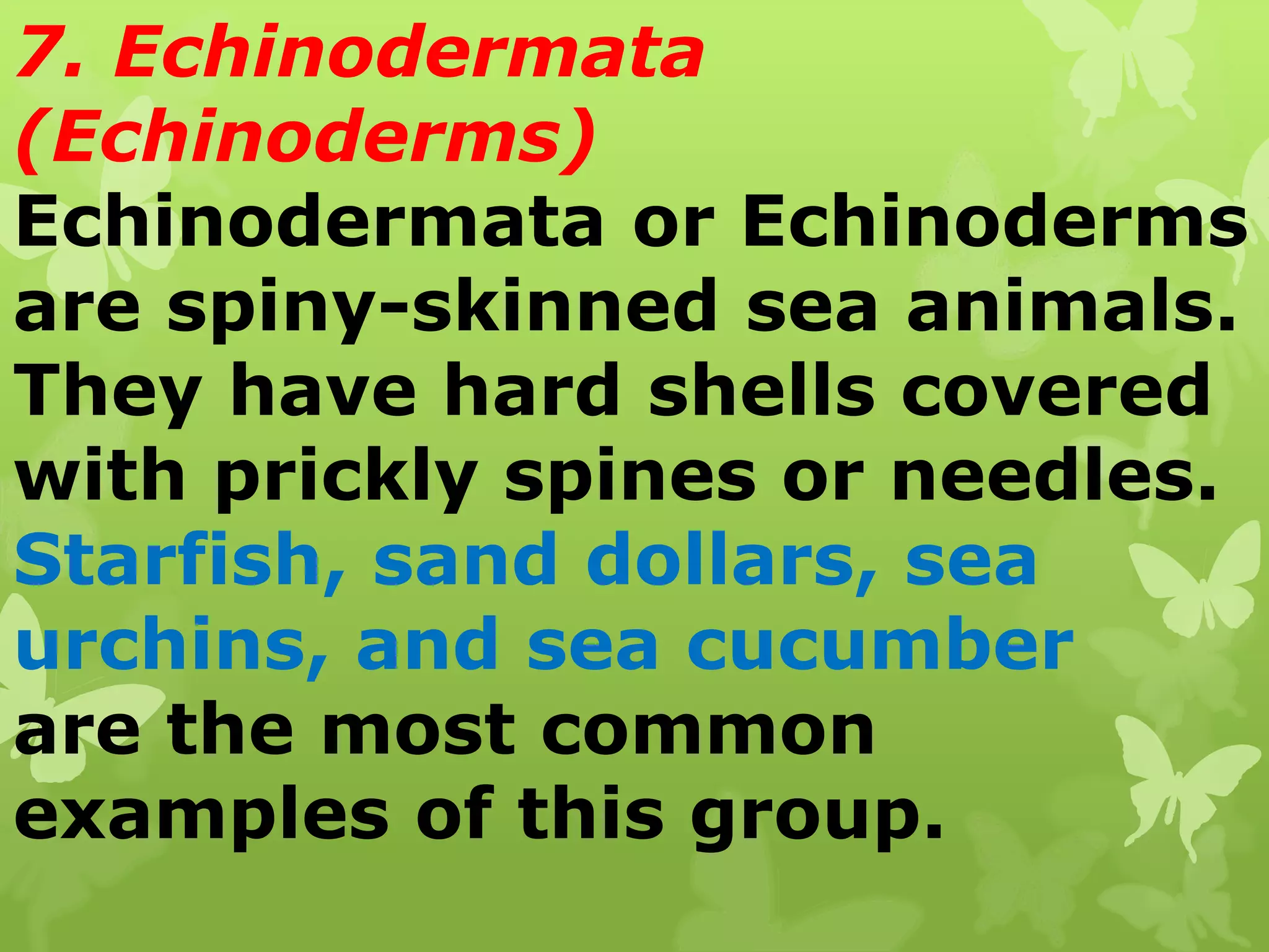 Grade 6 PPT_Science_Q2_W6_Invertebrates.pptx