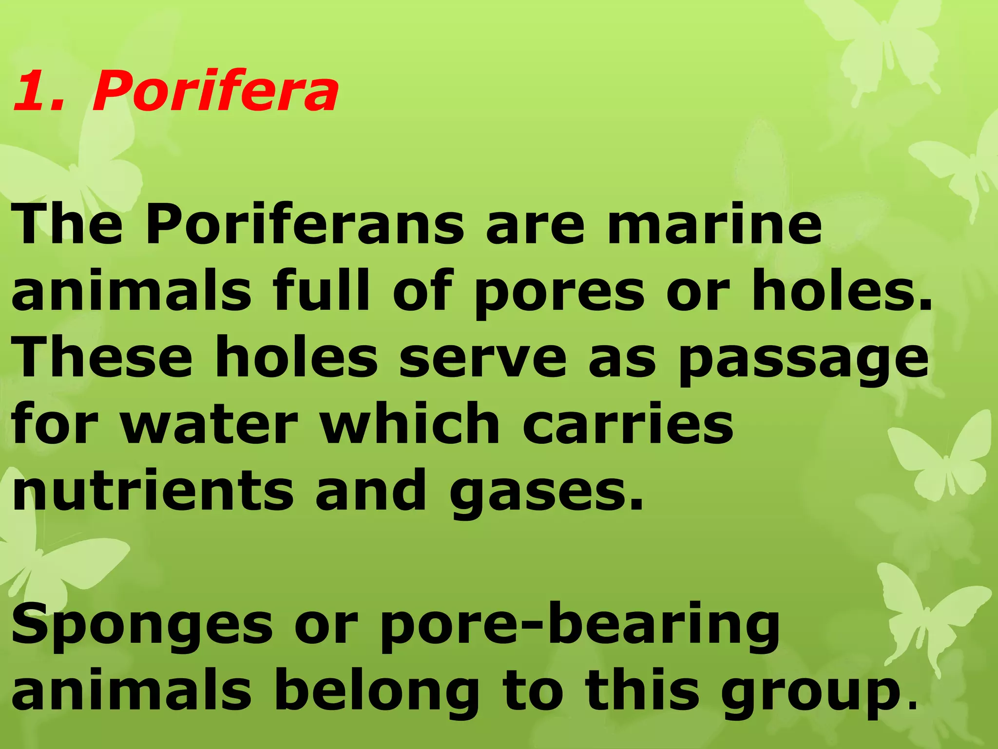 Grade 6 PPT_Science_Q2_W6_Invertebrates.pptx