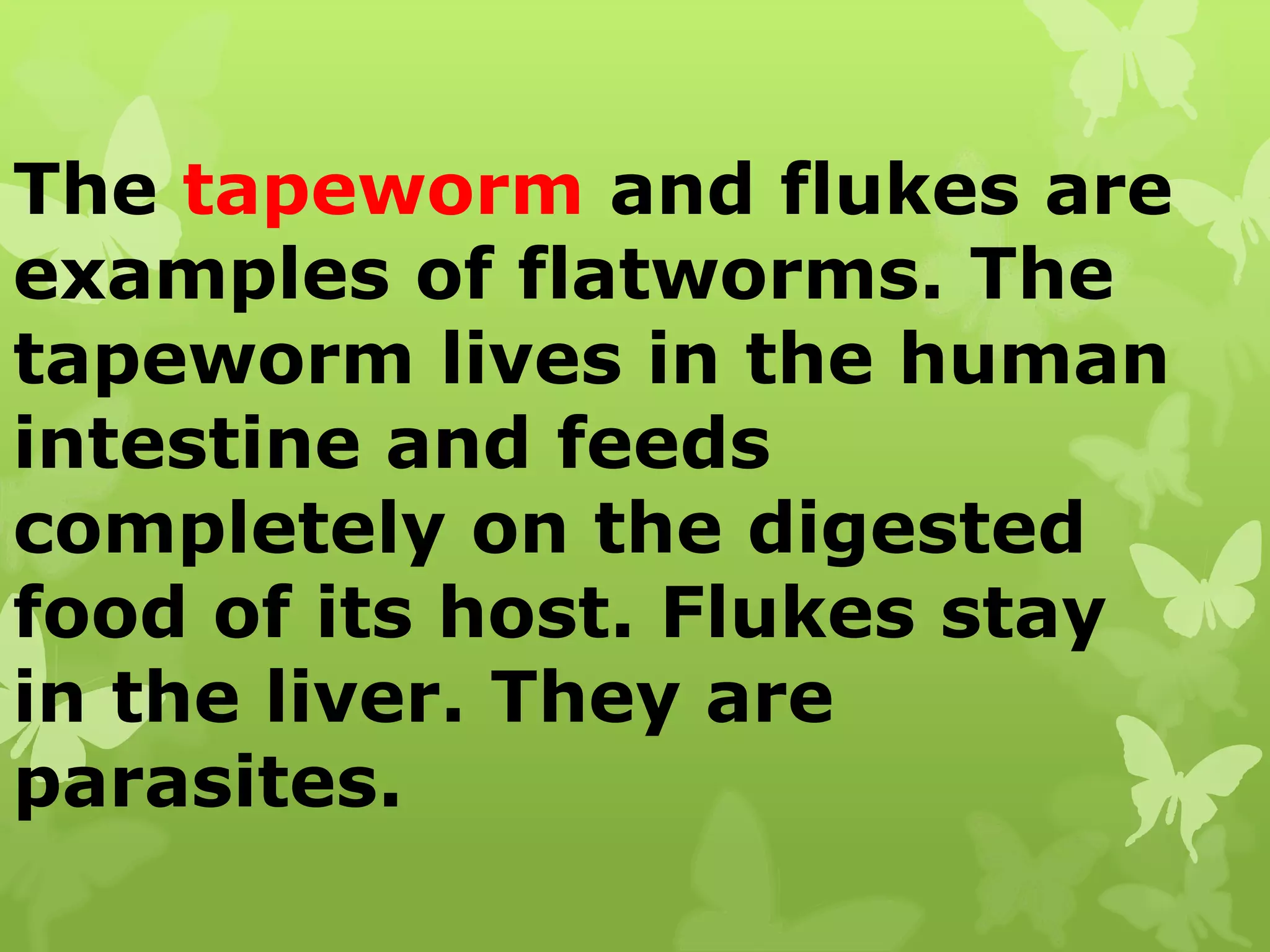 Grade 6 PPT_Science_Q2_W6_Invertebrates.pptx