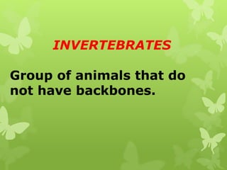 Grade 6 PPT_Science_Q2_W6_Invertebrates.pptx