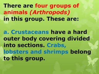 Grade 6 PPT_Science_Q2_W6_Invertebrates.pptx