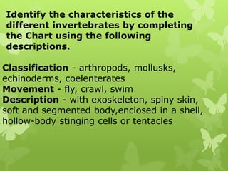 Grade 6 PPT_Science_Q2_W6_Invertebrates.pptx