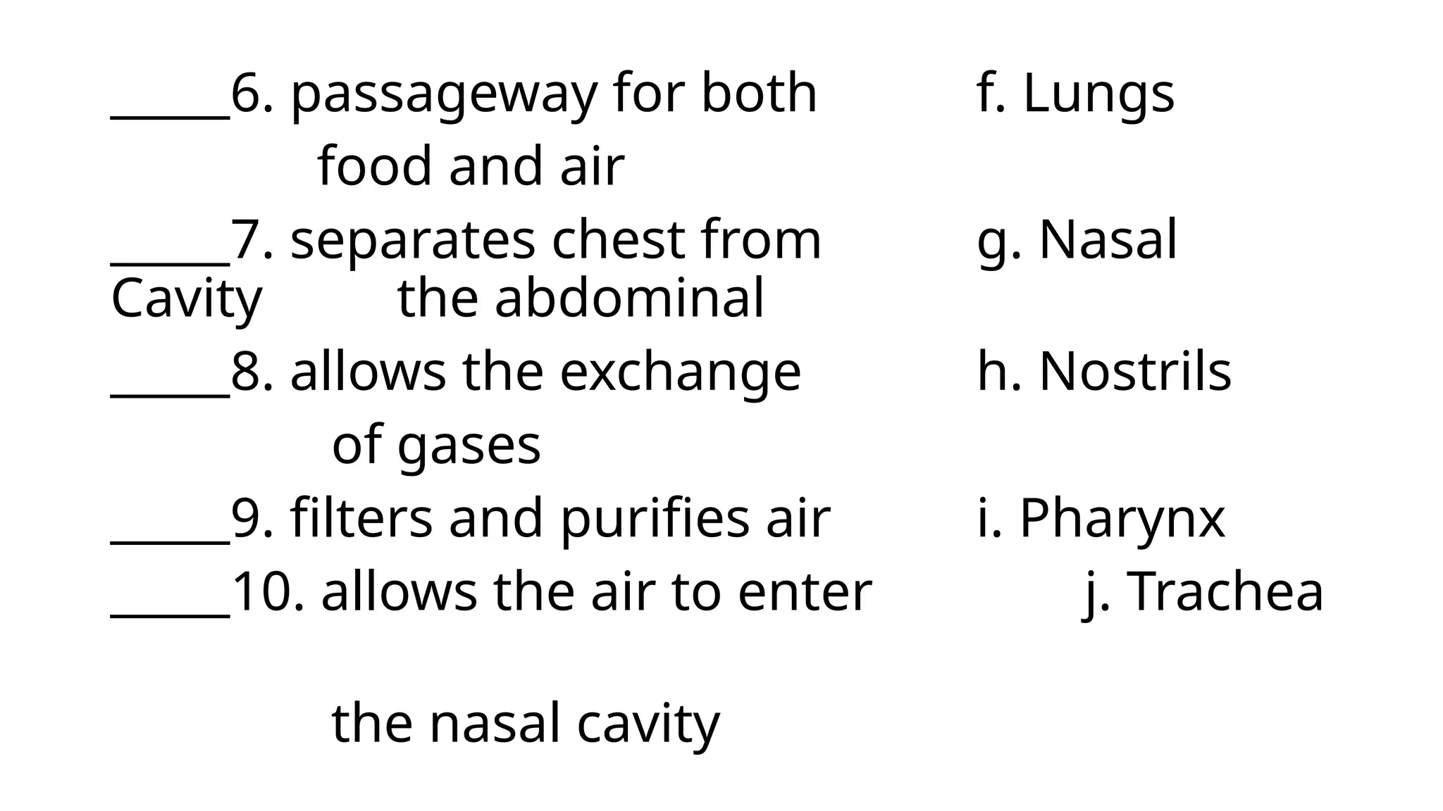 Grade 6 quiz Respiratory system. Grade 5pptx | PPTX