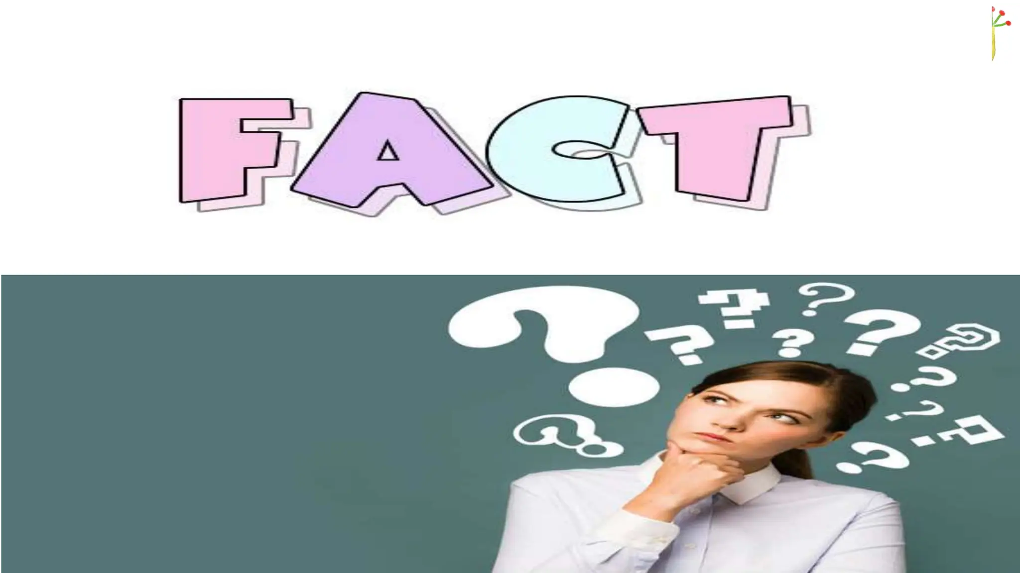 grade 7, fact or opinion power point presentation | PPTX | Internet ...